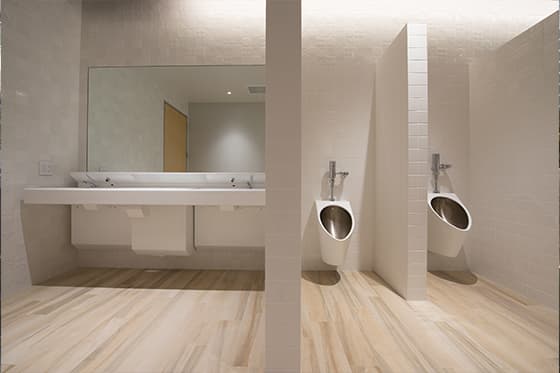 Modern Commercial Toilet Design
